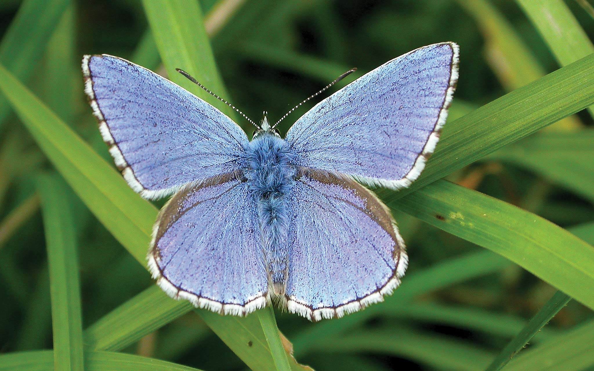 Our special qualities | Dorset National Landscape