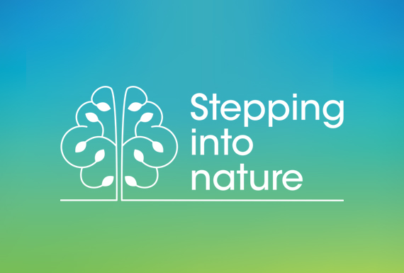 Stepping into Nature | Dorset National Landscape