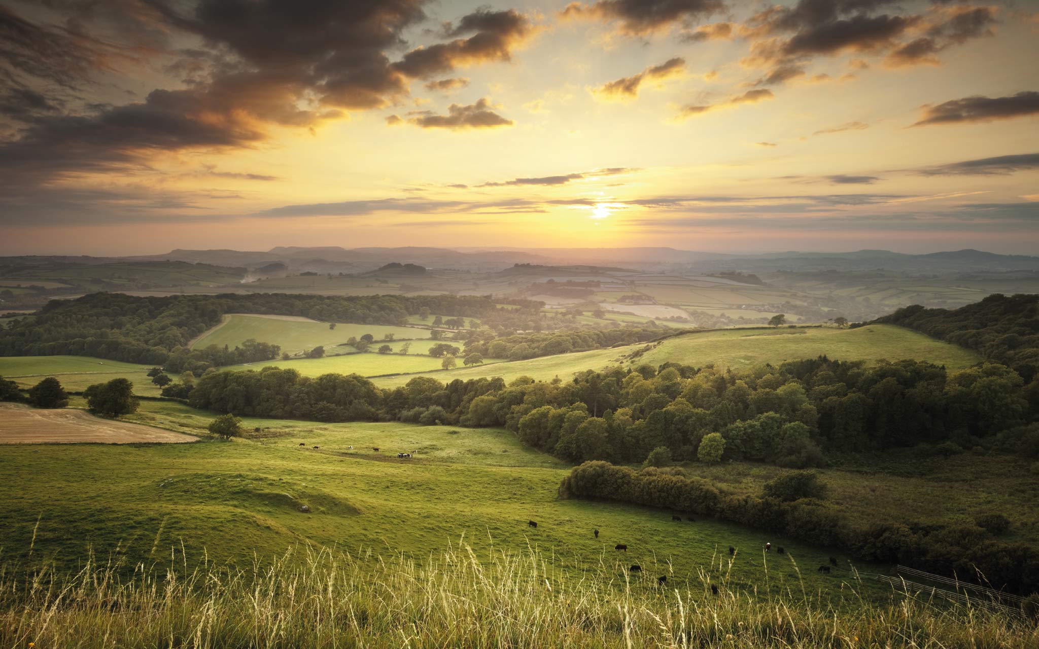 Landscape | Dorset National Landscape