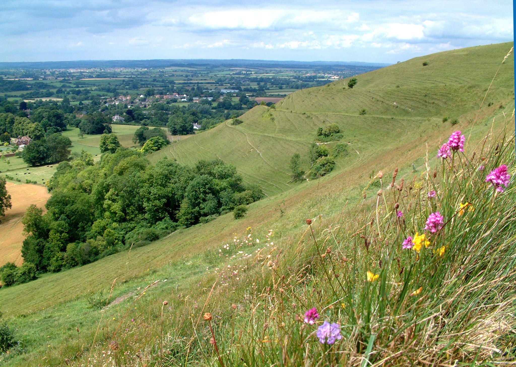 Management Plan Page | Dorset National Landscape