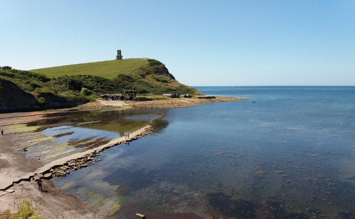 Dorset National Landscape | CANCELLED Guided walk: Rockpool Ramble ...