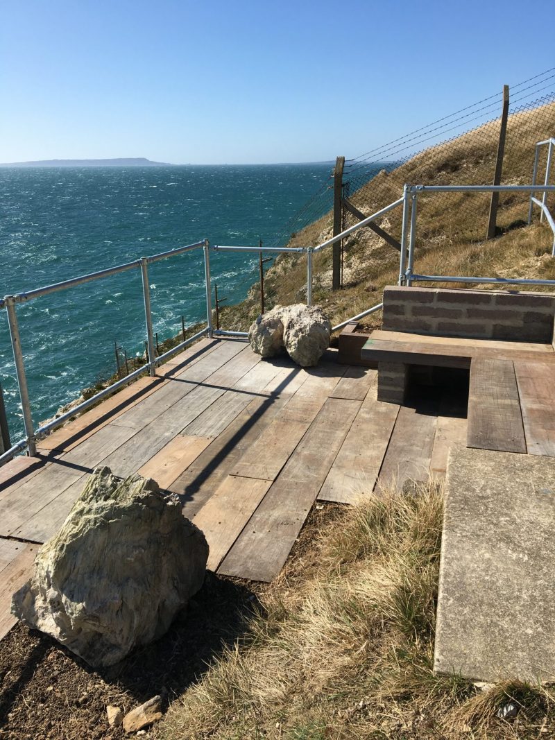 Fossil Forest re-opens to the public | Dorset National Landscape