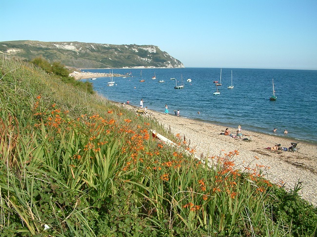 Ringstead Bay | Dorset National Landscape