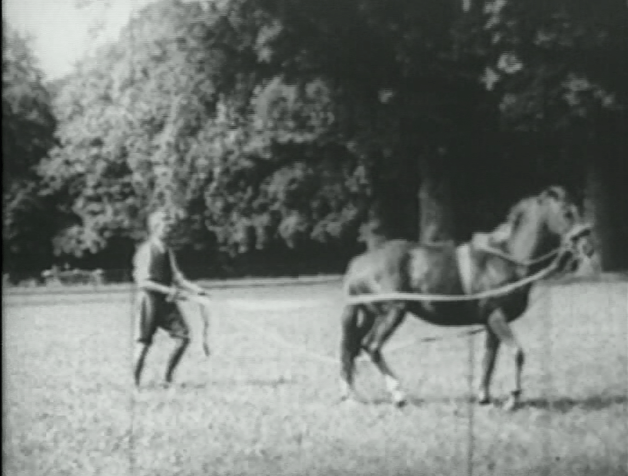 Inspired by archives | Dorset National Landscape