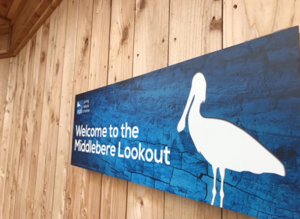 Case study: RSPB Arne Middlebere 'Lookout' | Dorset National Landscape