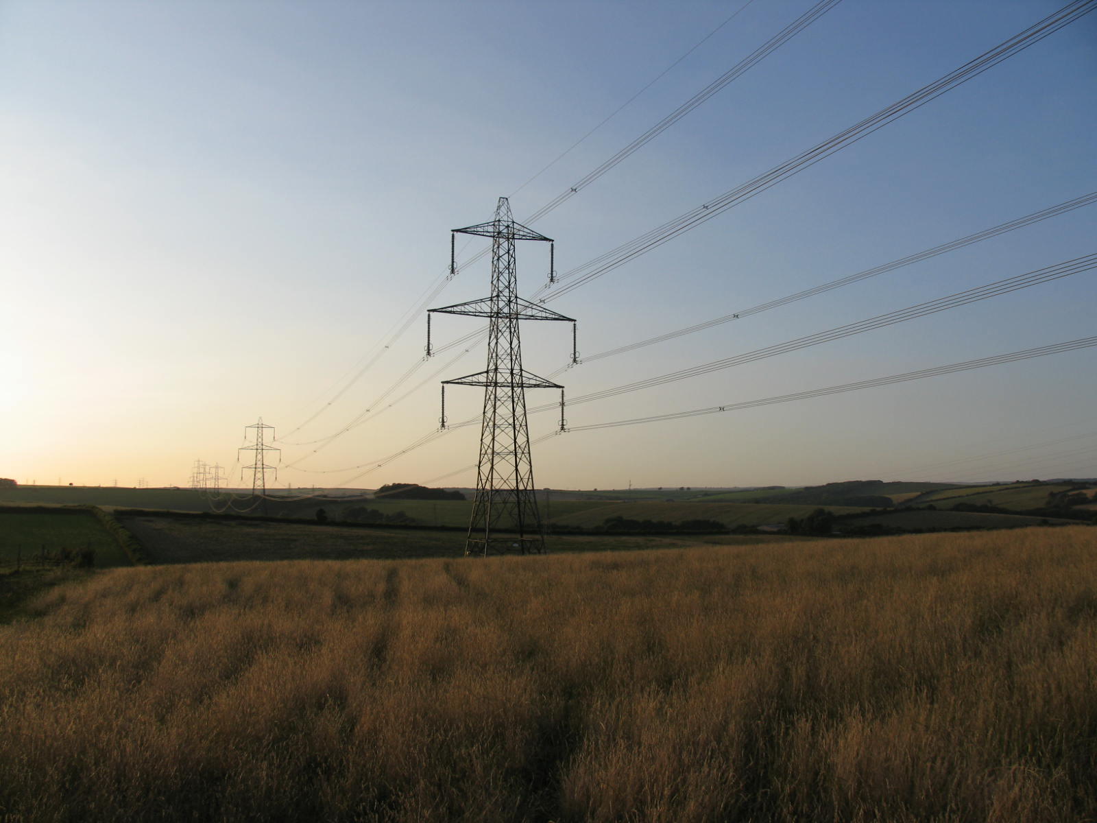 Pylons coming down in Dorset | Dorset National Landscape