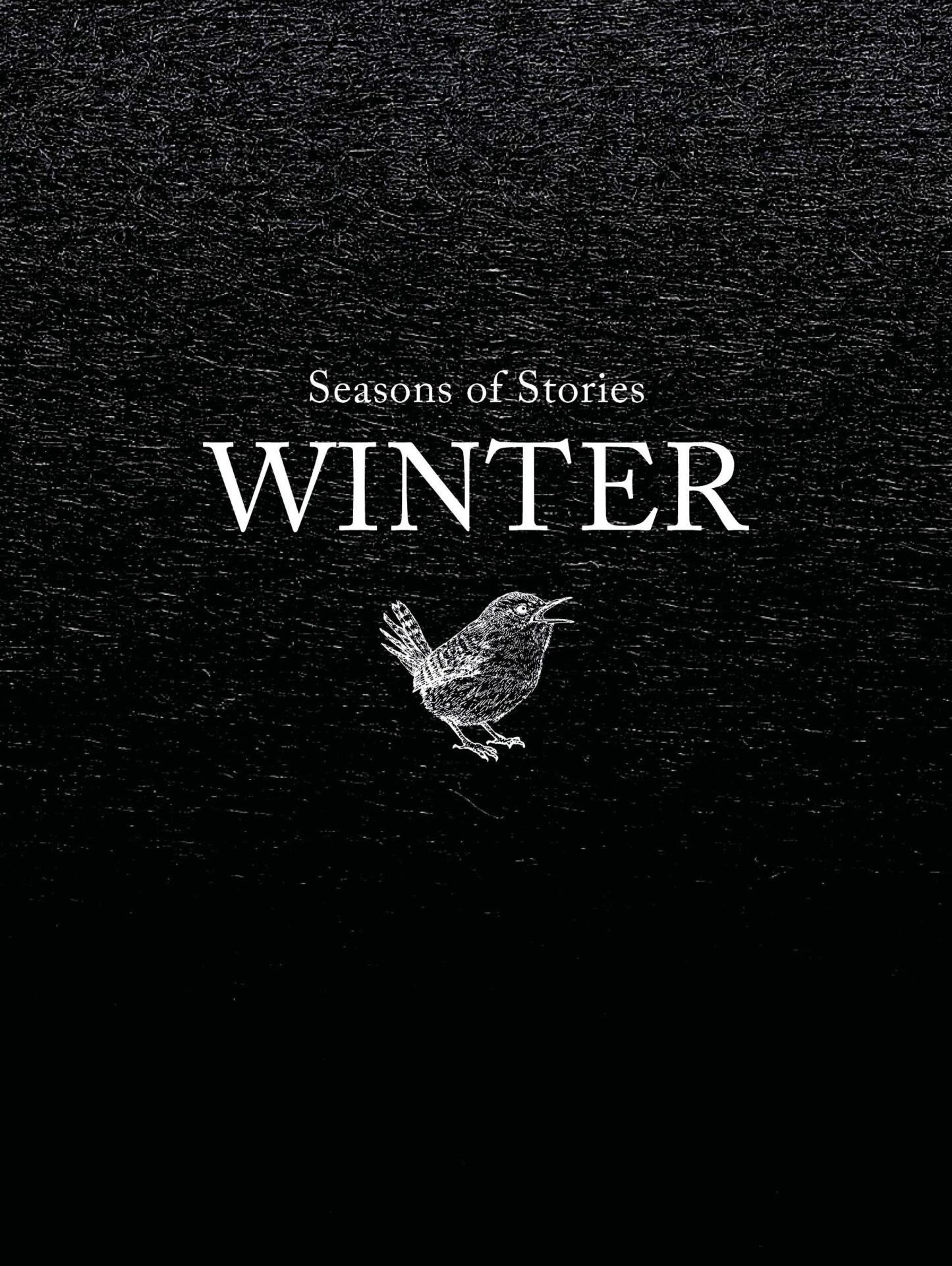 ‘Seasons of Stories: Winter’ Book and Audiobook | Dorset National Landscape