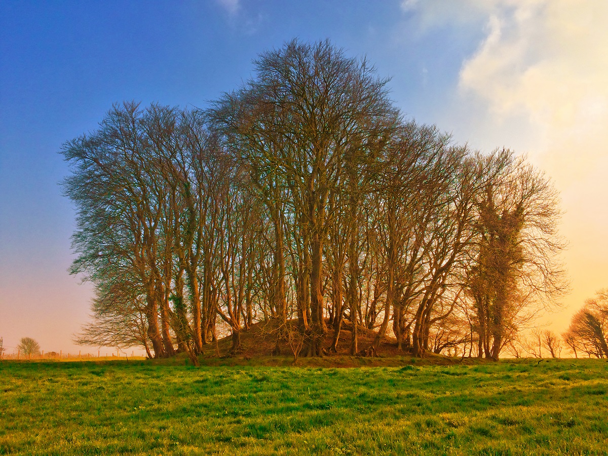 'Take a Dorset View' 2023 Photo Competition Winners Announced | Dorset ...