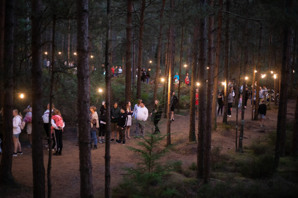 Nature Calling New Artists Commission | Dorset National Landscape