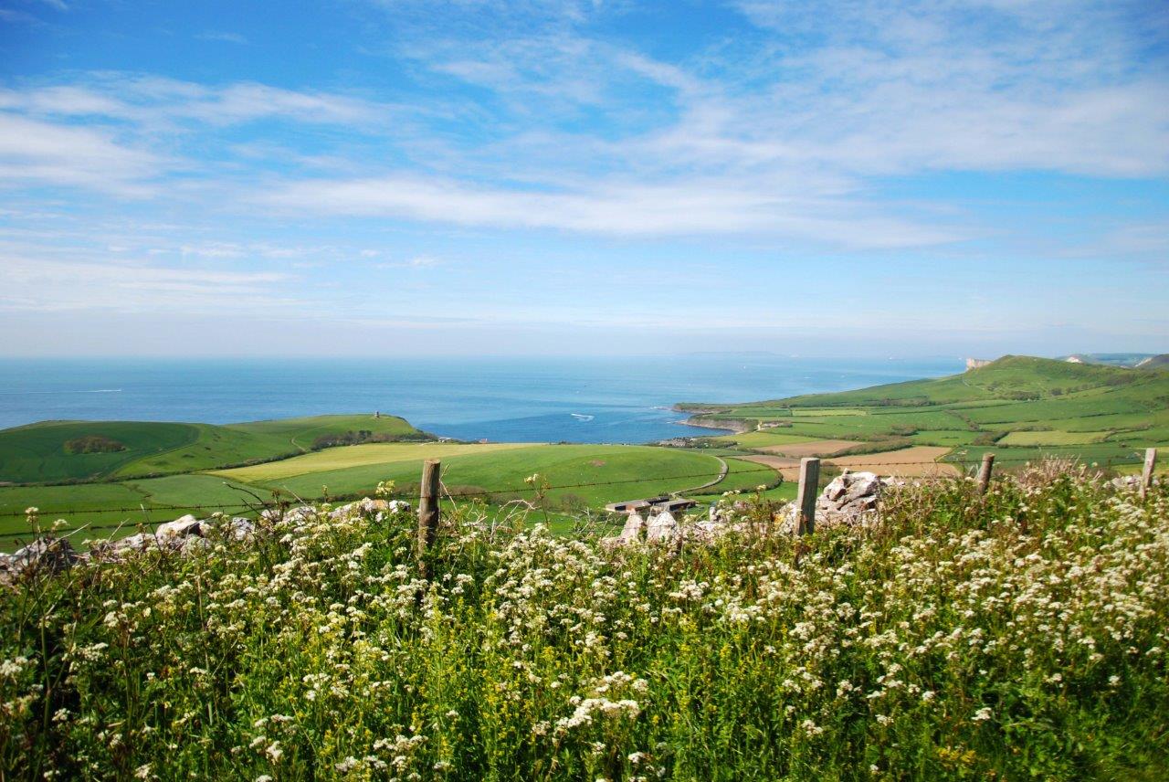 Map | Dorset National Landscape