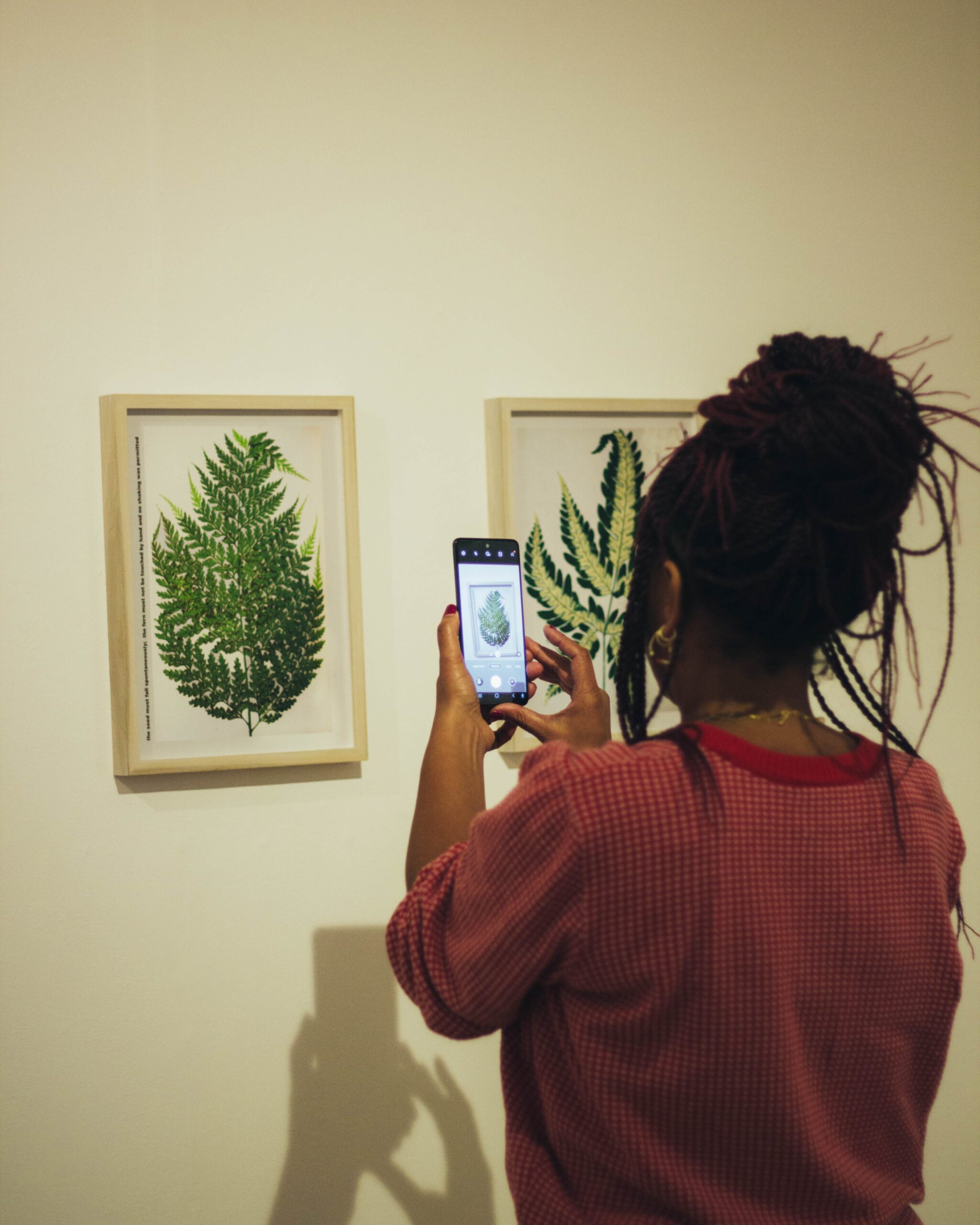 Nature Calling Launch | Dorset National Landscape